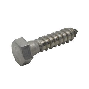 Stainless Steel Lag Bolts | STS Industrial