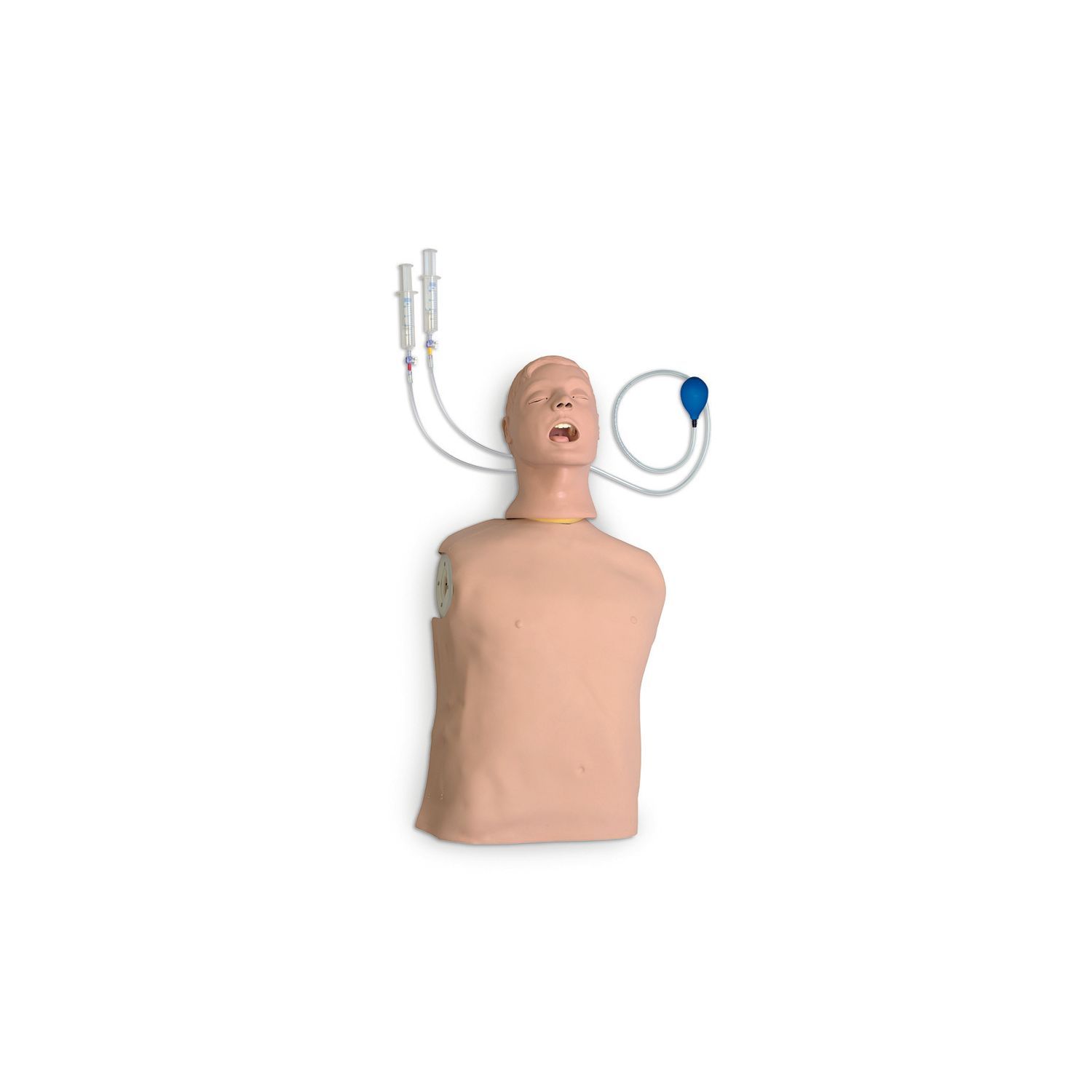 Advanced Larry Intubation Trainer | Armstrong Medical