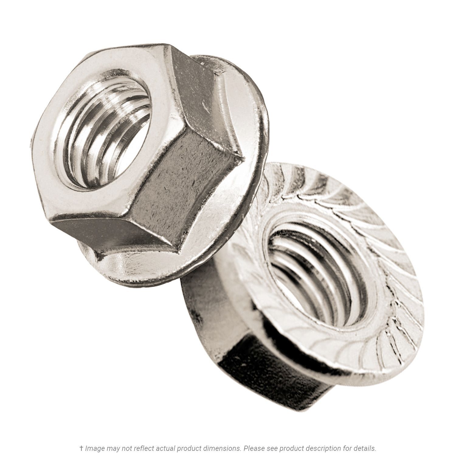 3/8"-16 Stainless Steel Whiz Flange Nut 18-8 | K.L. Jack