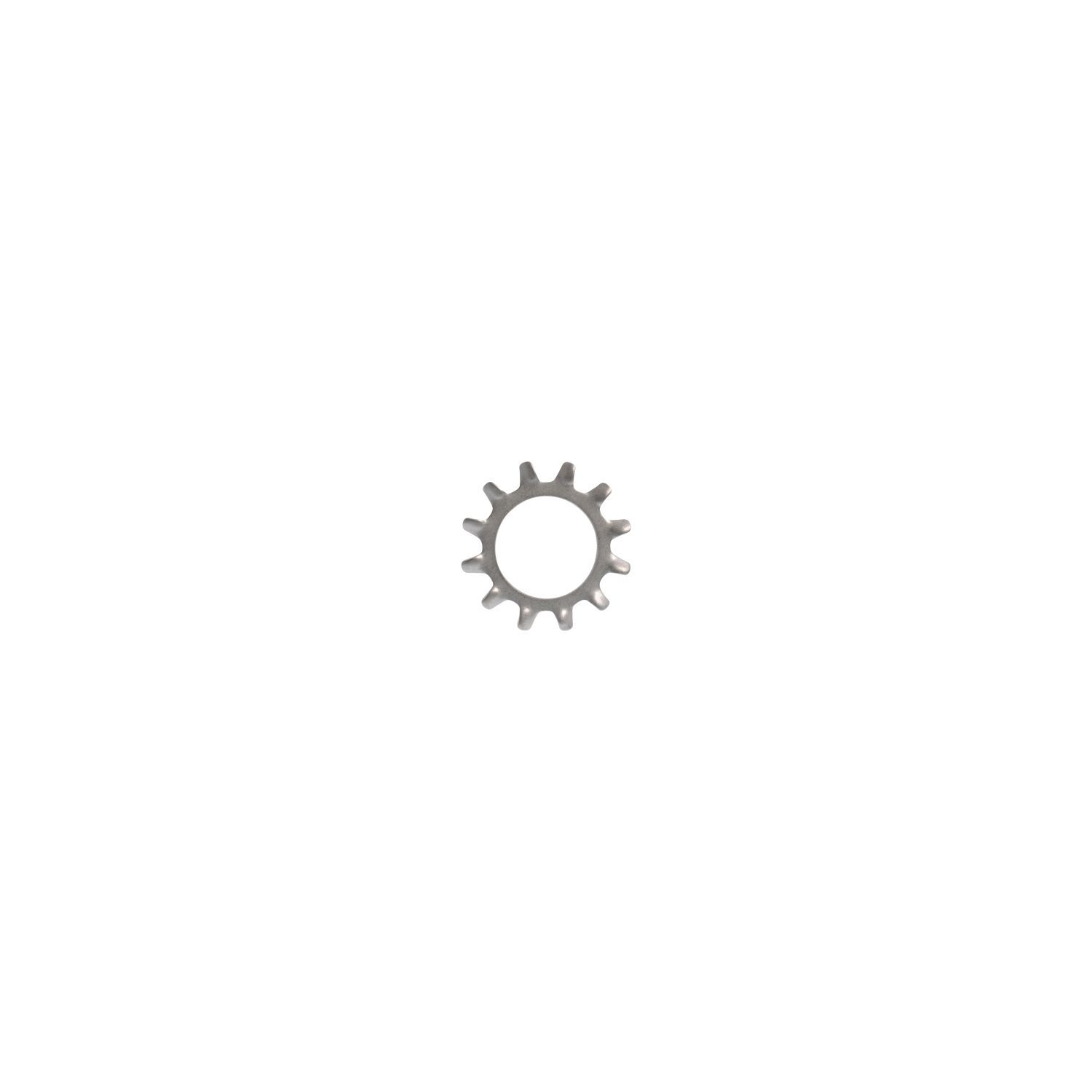 SS External Tooth Lock Washer | STS Industrial