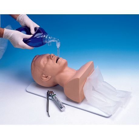 Armstrong Adult Intubation Manikin | Armstrong Medical