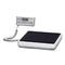 Remote Display Scale | Armstrong Medical