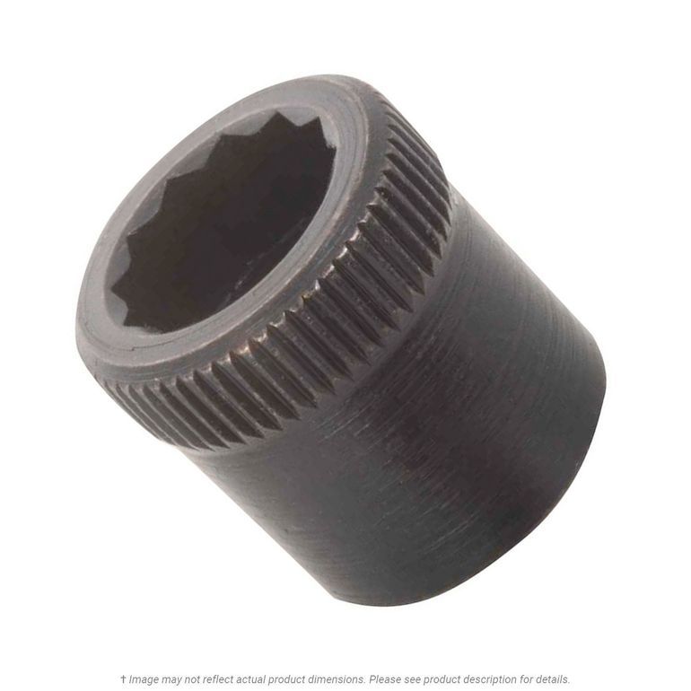 3/8"-16 Allen Nut | K.L. Jack